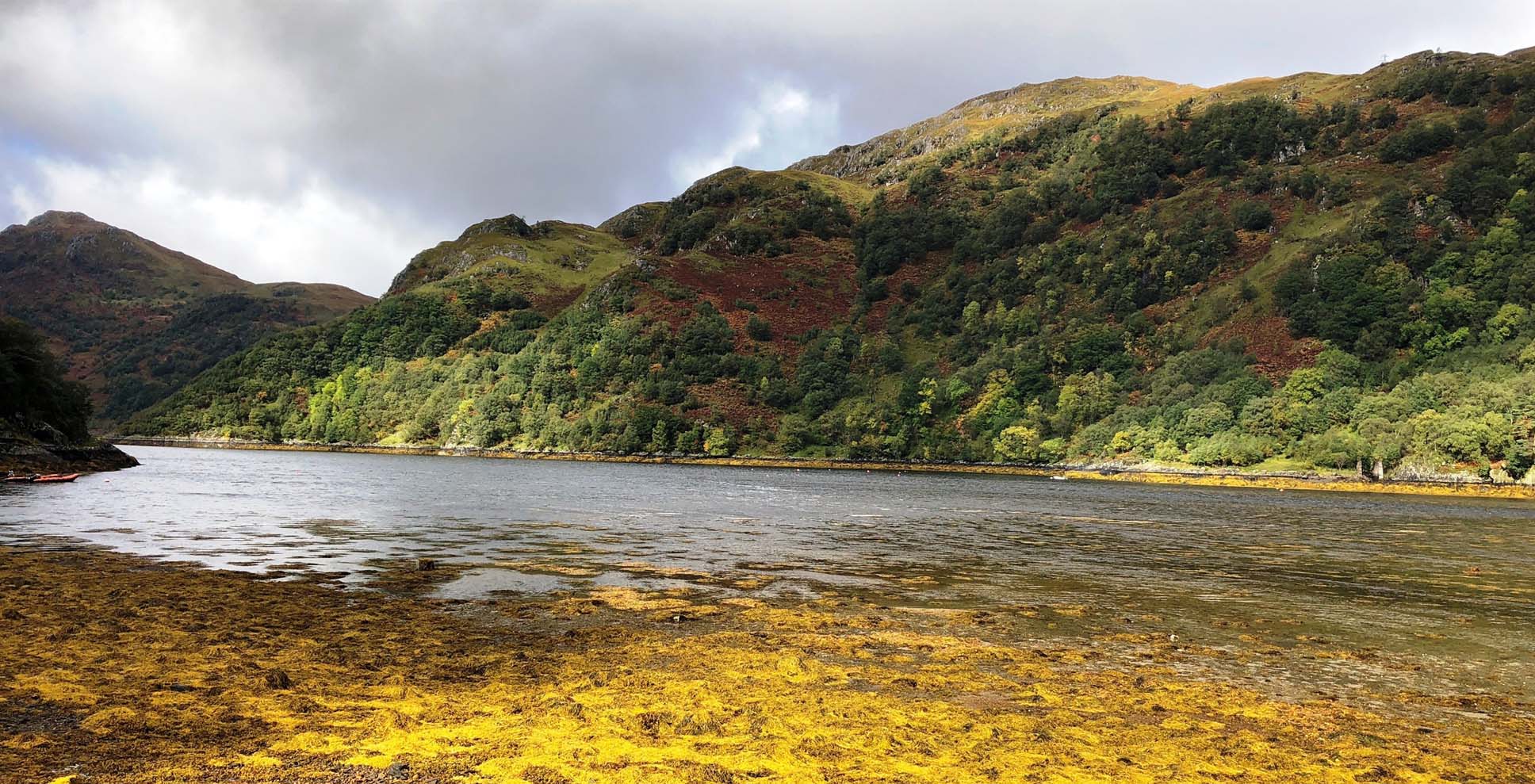 Friends of Loch Hourn